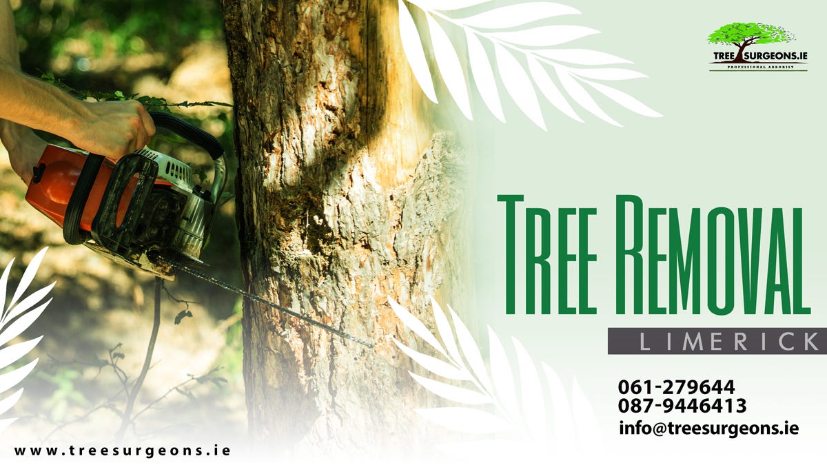 Everything to know about professional tree removal service: A brief ...