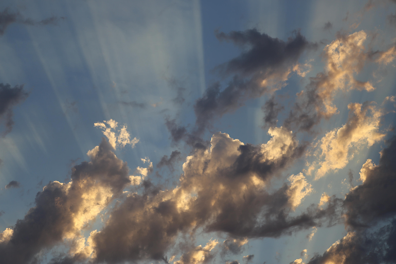 First things first. One of the things that’s characteristic… | by Sam ...