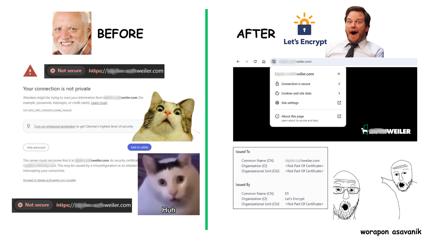 MongoDB Setup 101: From Containers to Compass for Absolute Beginners ...