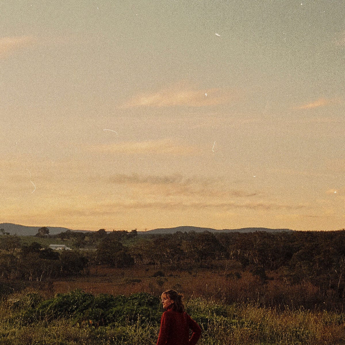 Hungry Thirsty Roots: On Saltburn’s Blood and Guts | by Laika | Feb ...