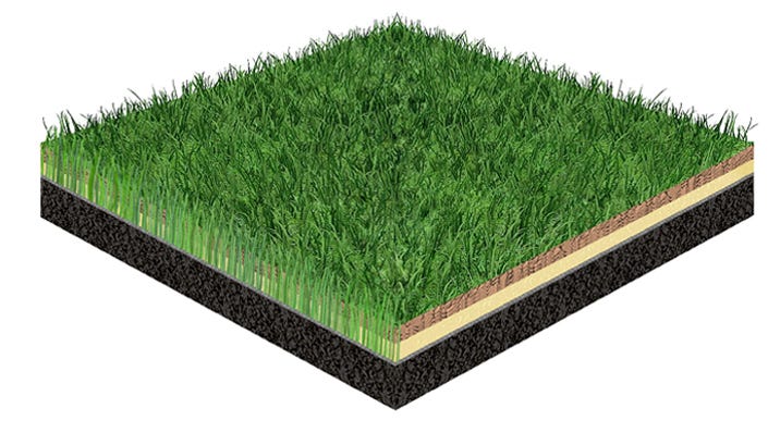 Turf Management. Why does turf surprise people? | by Mike Hennessy | Medium