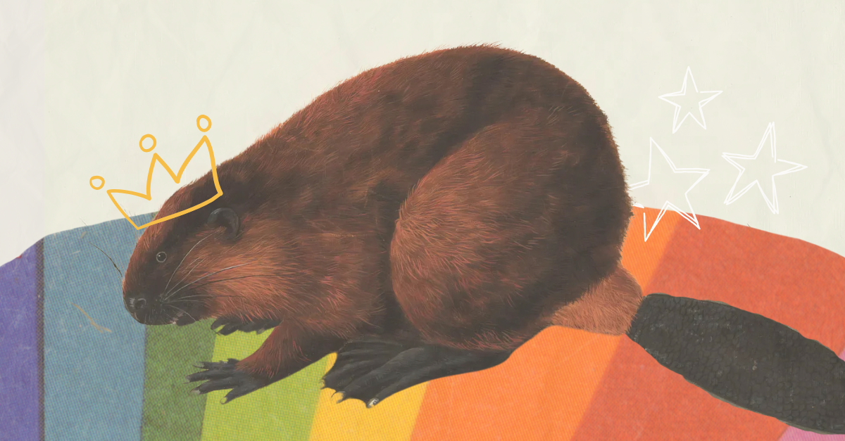 POO (Java) | Classes e Objetos. O que são Classes e Objetos? | by ...