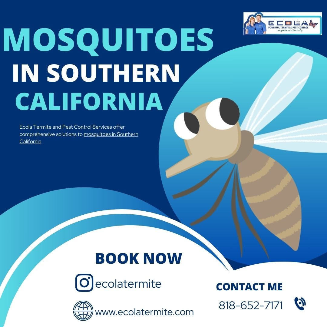 Battling Infestations: How Surge Pest Control Services from Ecola ...