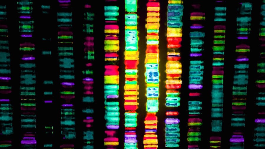 Variational Autoencoders -EXPLAINED | by Shivang Mistry | Analytics ...