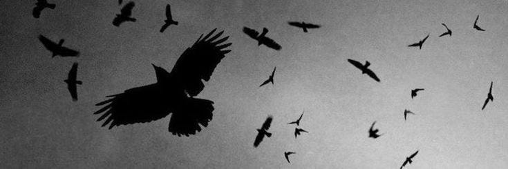 Baskara Hugo Pramudya - M. - Medium