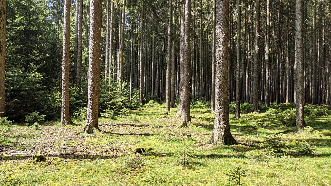 How To Log Nestjs Applications In A Distributed System With The Opensearch Stack And Kubernetes