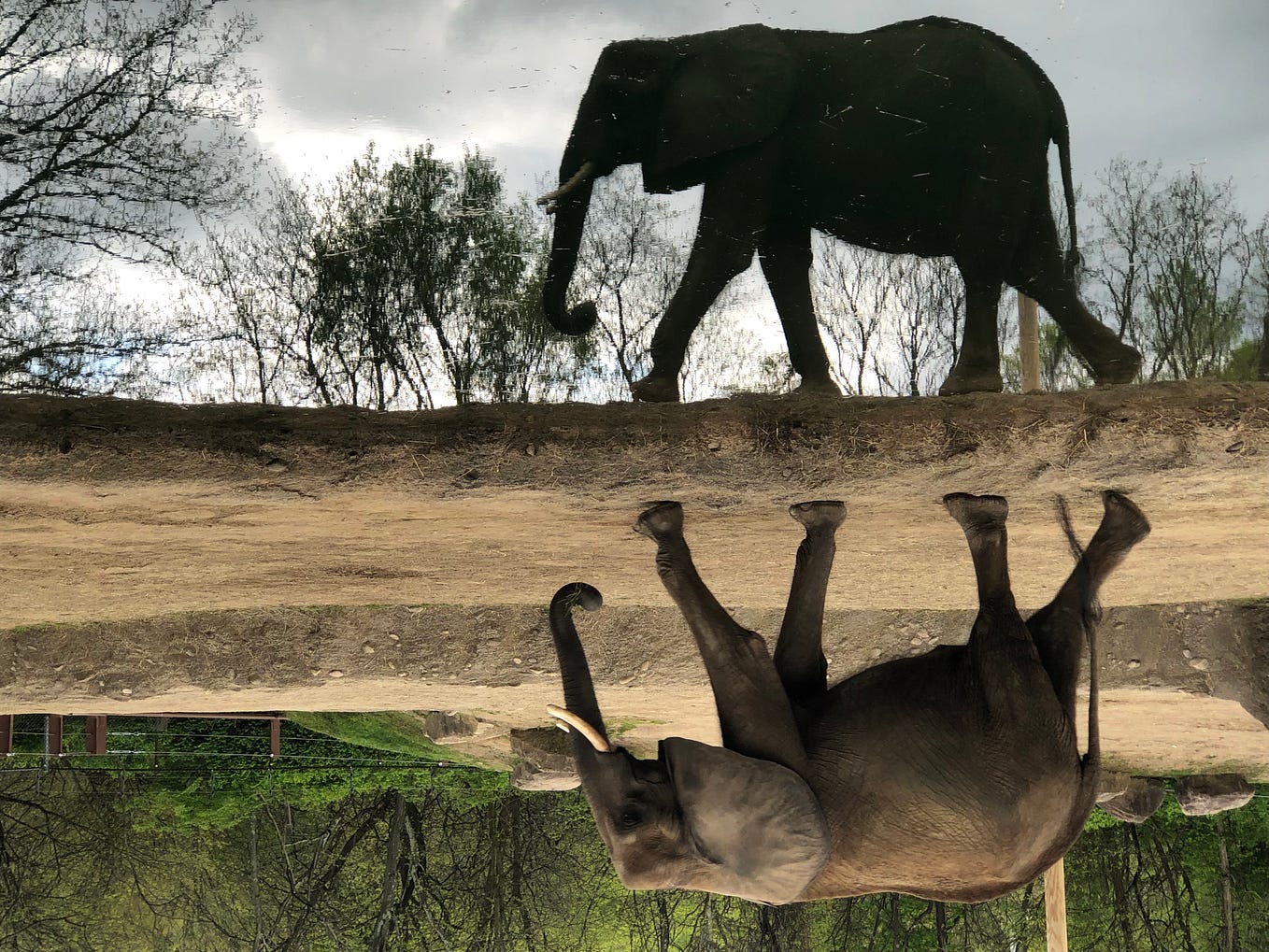 Why Palm is Just as Bad as Hisoka | by MultiReviewer | Fandom Fanatics ...