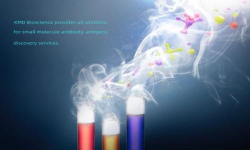 Comparison of BL21(DE3) and Rosetta strains | by KMD Bioscience | Medium