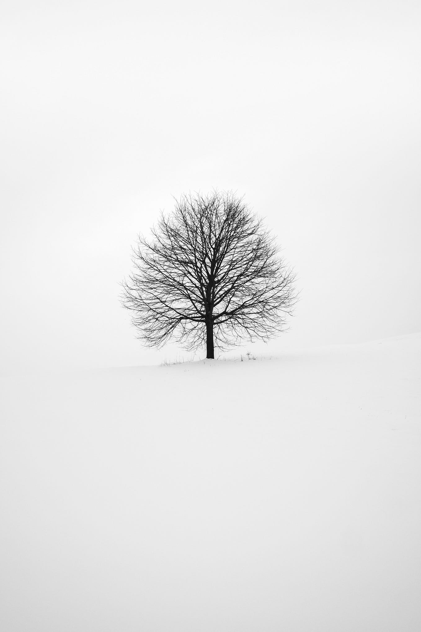 5 Components Of Organisational Change — The Knoster Model | by Saahil ...