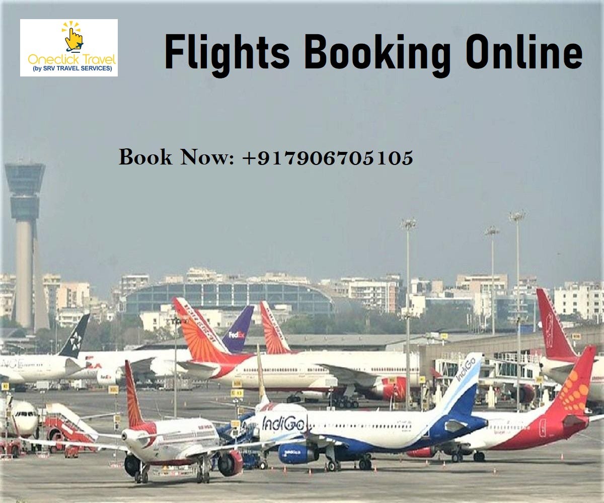 Booking Your Delhi to Goa Flight: A Step-by-Step Guide to Online ...