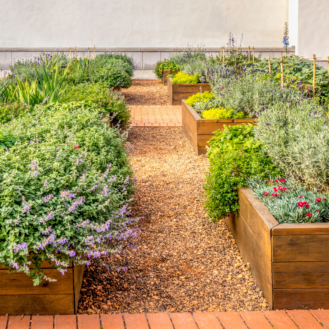 Unlocking Garden Magic: The Benefits of Trellises | by Michelle Dee ...