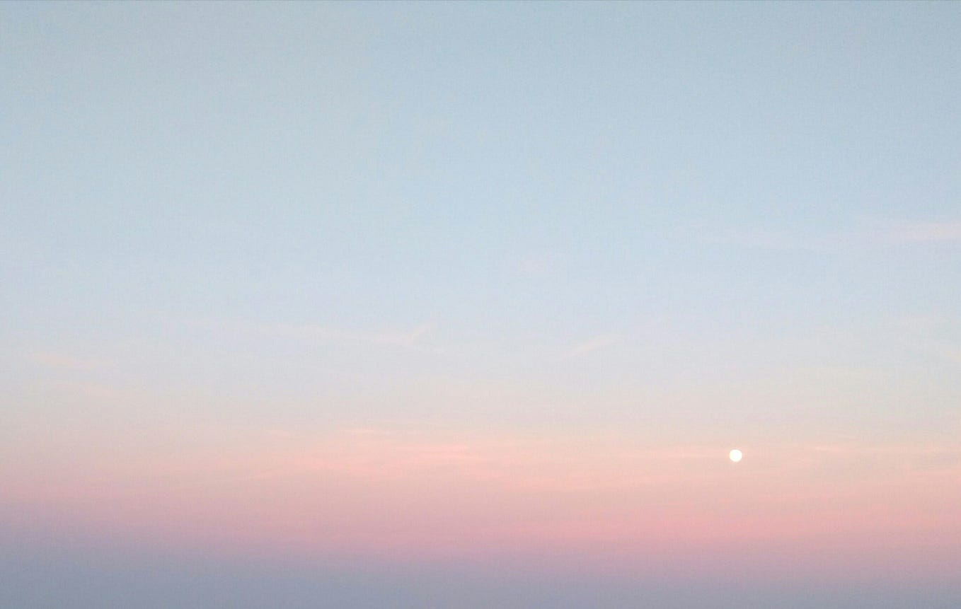 Dynamic Emails With Vue.js & MJML | by Colby Clow | JavaScript in Plain English