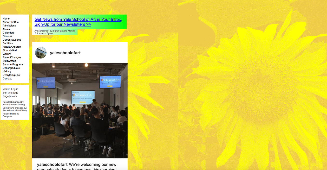 Sleek Beautiful Design Provides Bad User Experience | by Catherine ...