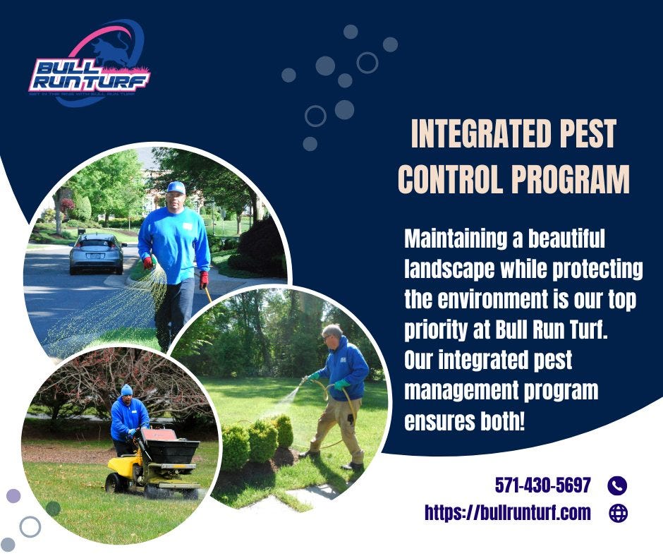Best Tree And Shrub Care Program In Winchester | by Bull Run Turf | Aug, 2024 | Medium