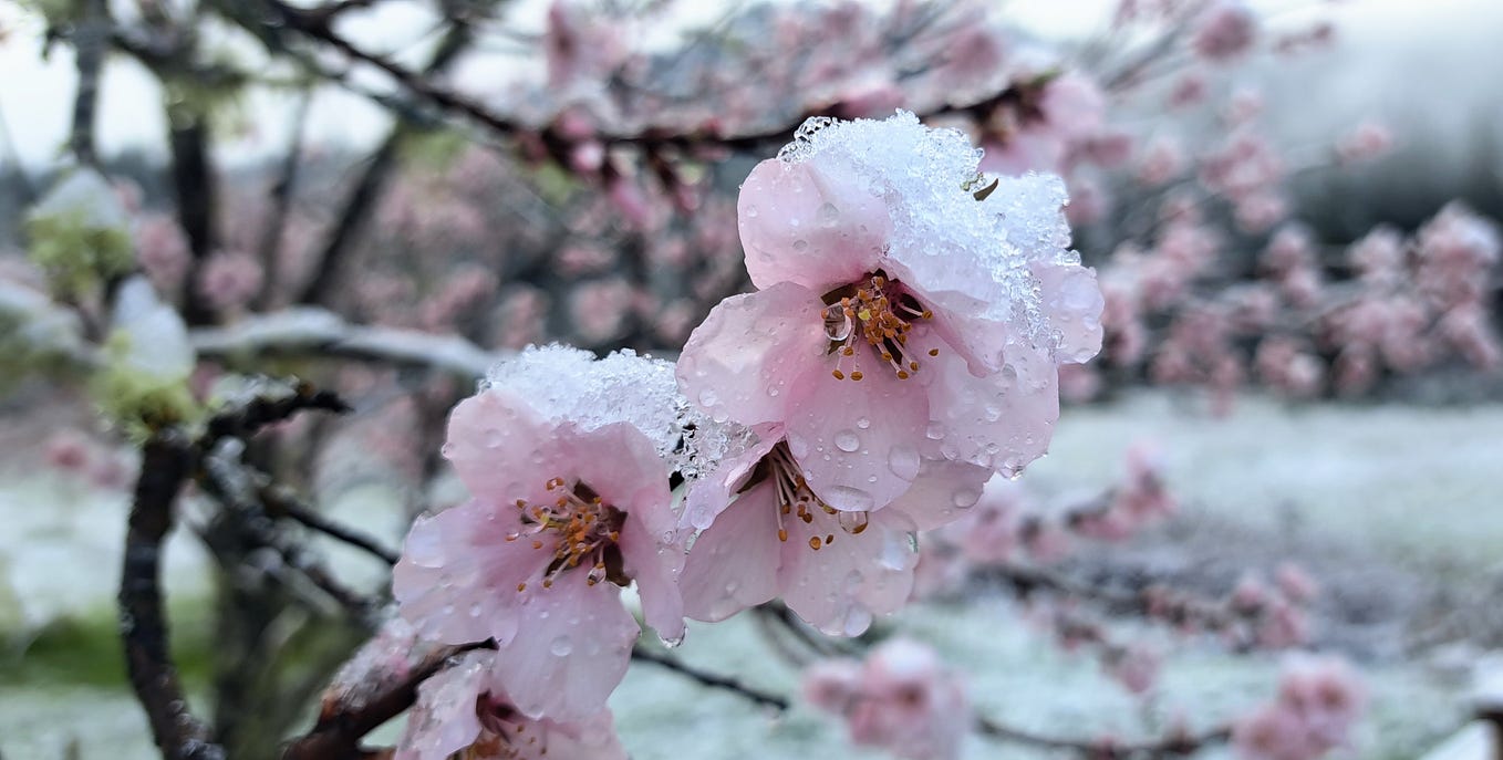 Continuation. Congealed memories concealed behind… | by Idlore Eroldi ...