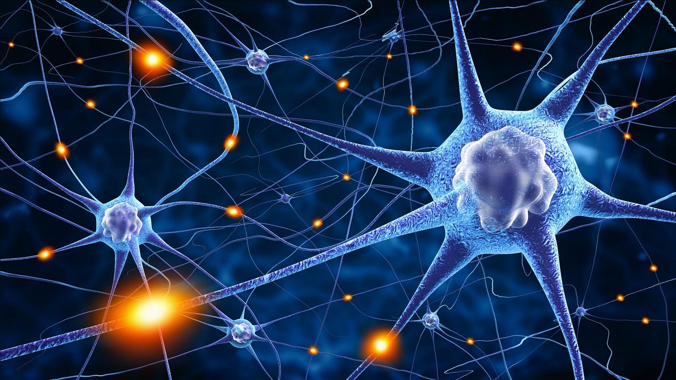 How To Build A Simple Neural Network In 9 Lines Of Python Code By