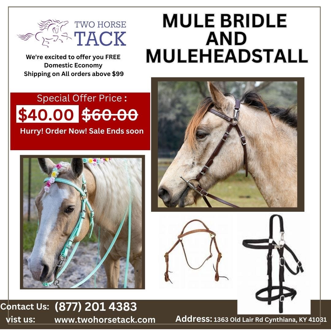 “Shop High-Quality Western Bridles & Headstalls at TwoHorseTack” - Two ...