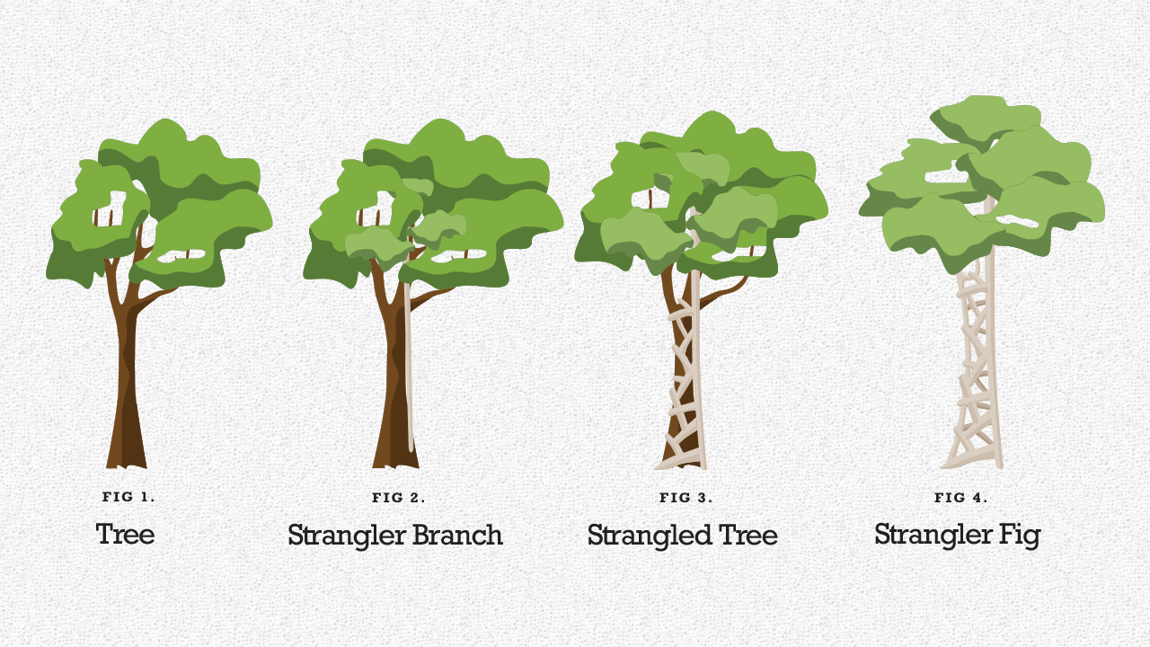 How to Create Custom Validation in NestJS? Examples and Advanced Use Cases | by Amrmuhmedd | Medium