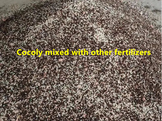 More and more farmers choose cocoly granular water-soluble fertilizers ...