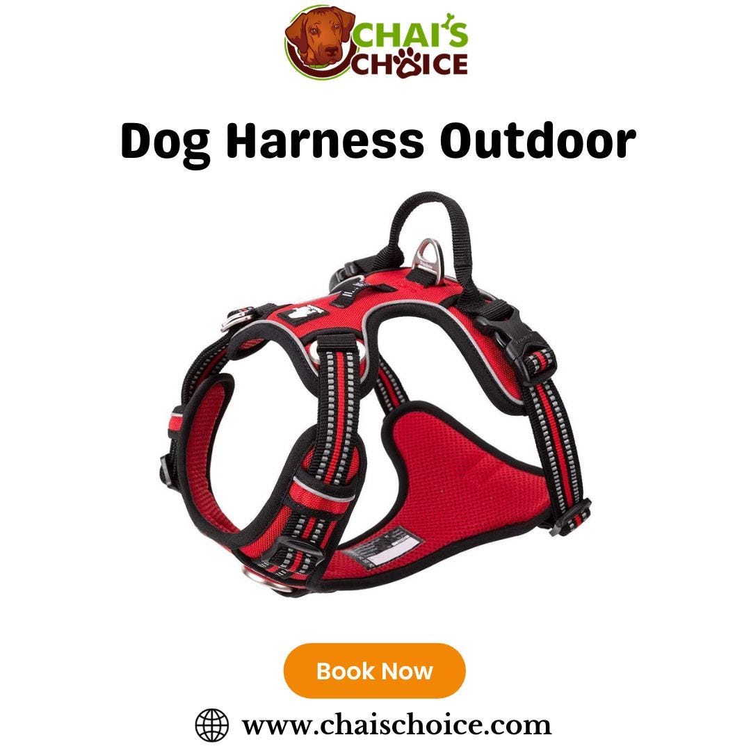 The Science Behind Positive Reinforcement: Using Training Harnesses ...