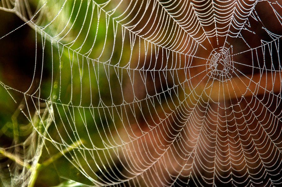 Getting Started With Postman Your Ultimate Api Testing Companion By Ismail Tasdelen Python