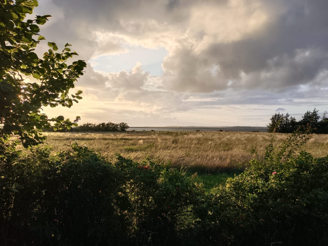 Data Visualization Techniques For Exploratory Data Analysis Using Python By Gözde Madendere