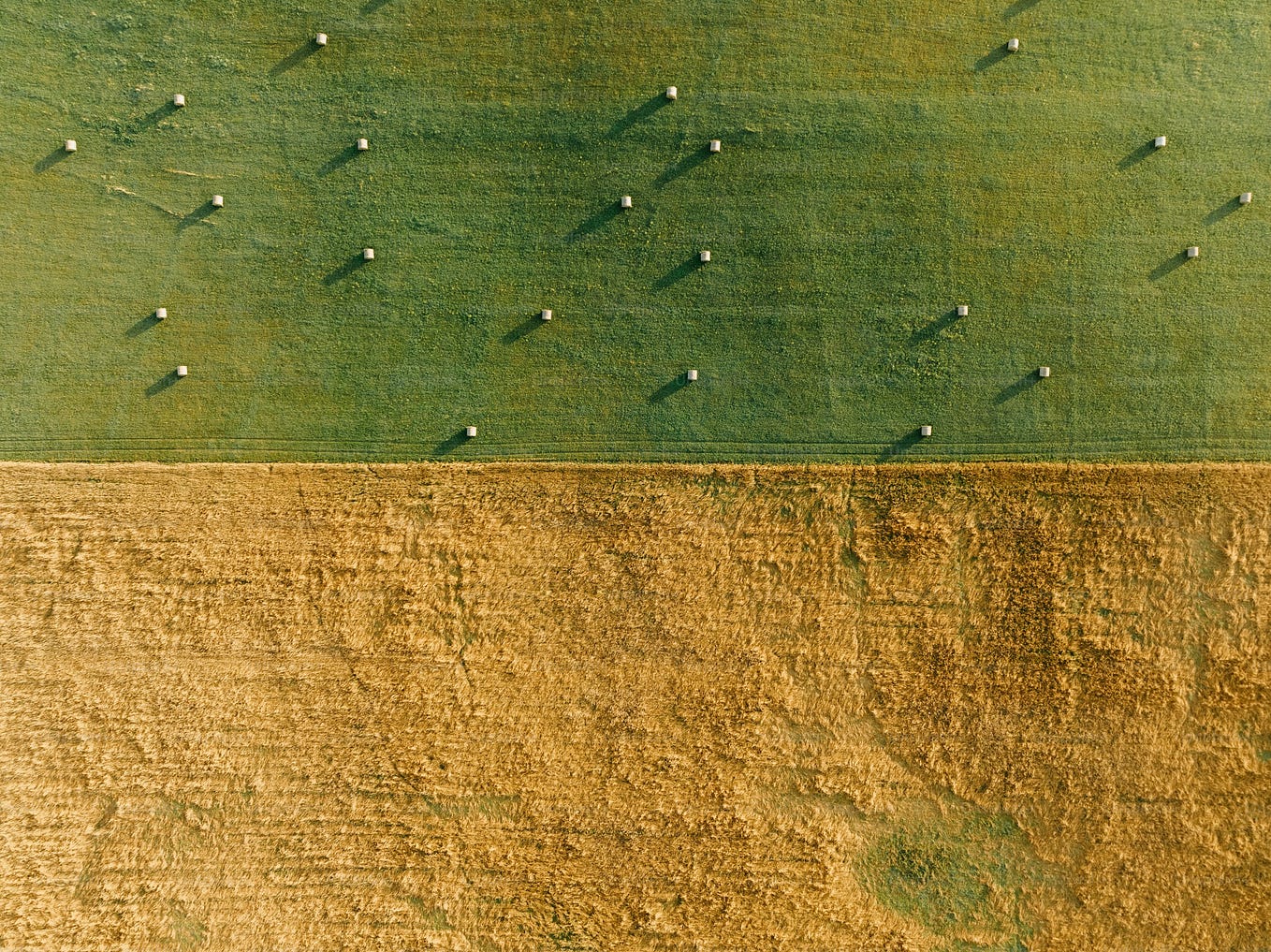 Seamlessly Manage and Upgrade Node.js Versions in Your Project | by Houhoucoop | Medium