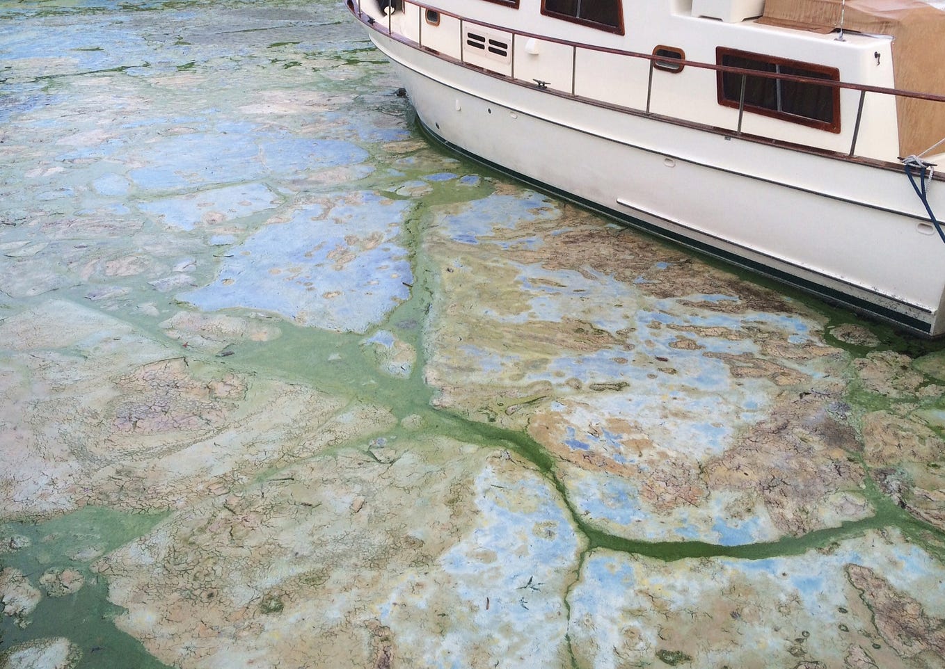 Why We Must Stop New Offshore Drilling | by Rhea Suh | Natural ...