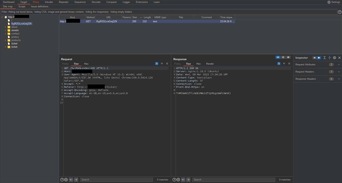 Web Application Security TryHackMe | by eXpl017 | Medium