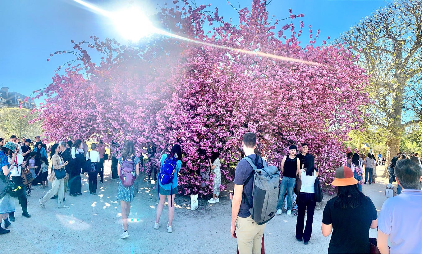 Sex On The Travel Menu. A look at Jineterismo or prostitution… | by ...