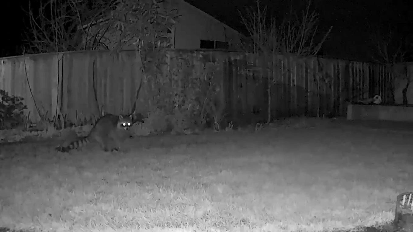 Develop an open-source Raspberry Pi OCR solution using Edge AI camera OpenNCC | by Johanna Shi ...