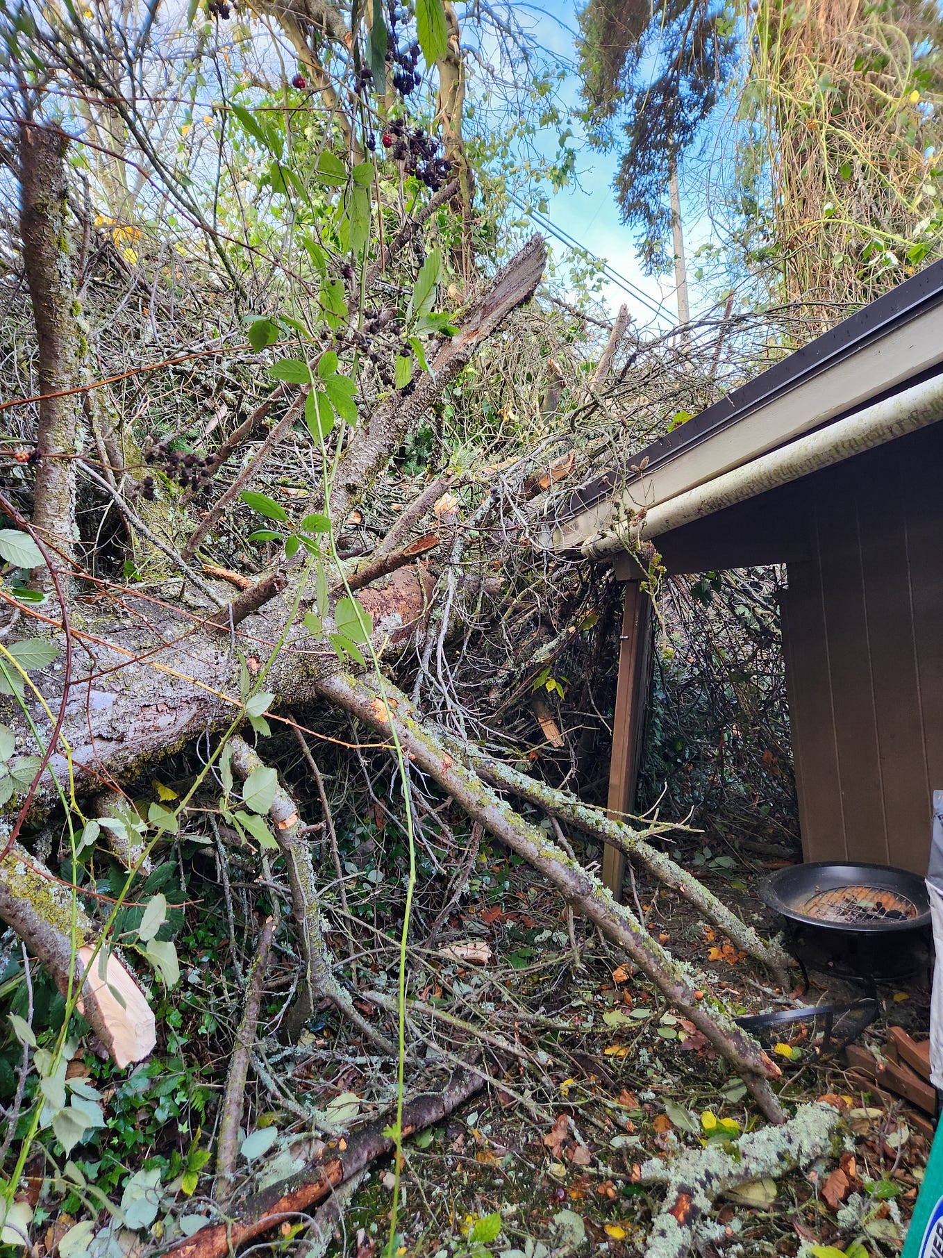 4 Essential Tips to Maximize Your Insurance Payout After Property ...