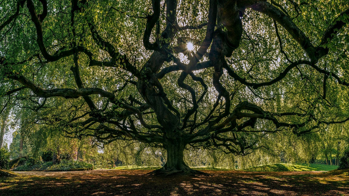 Spring Boot : Configuring environment variables | by Omkar Birade | interleap | Medium