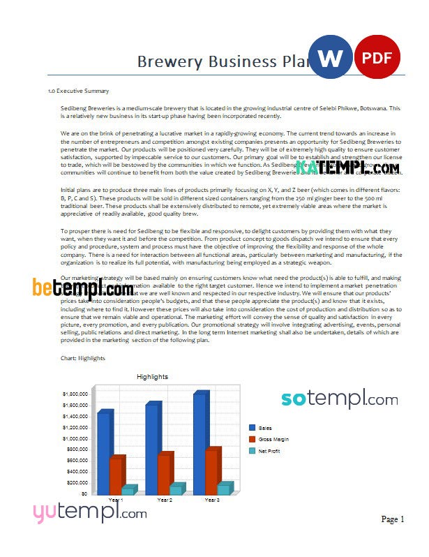 computer programming business plan template in Word and PDF formats ...