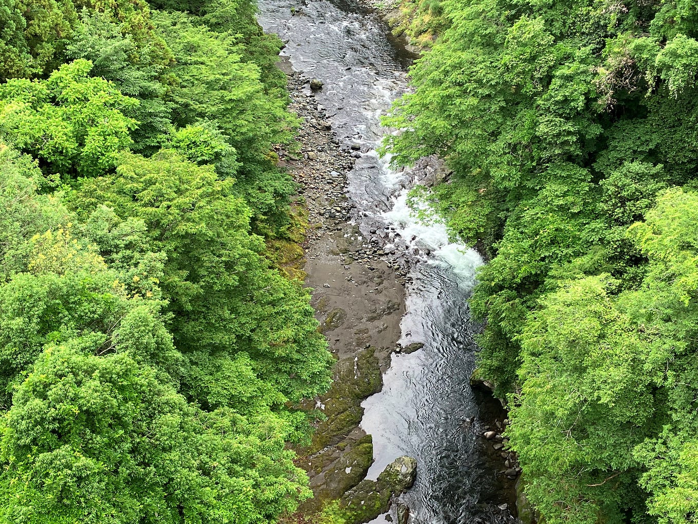Fumi-tsuki (July) Reflections: On Writing and the Summer Heat | by ...