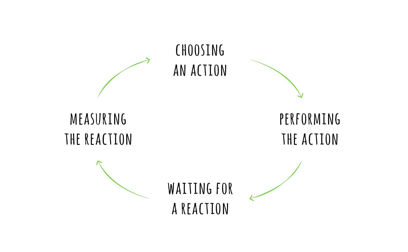 Feedback Loop Examples