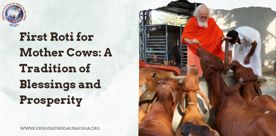 Supporting Mother Cows: A Noble Cause | by Krishnayan Gauraksha | Medium