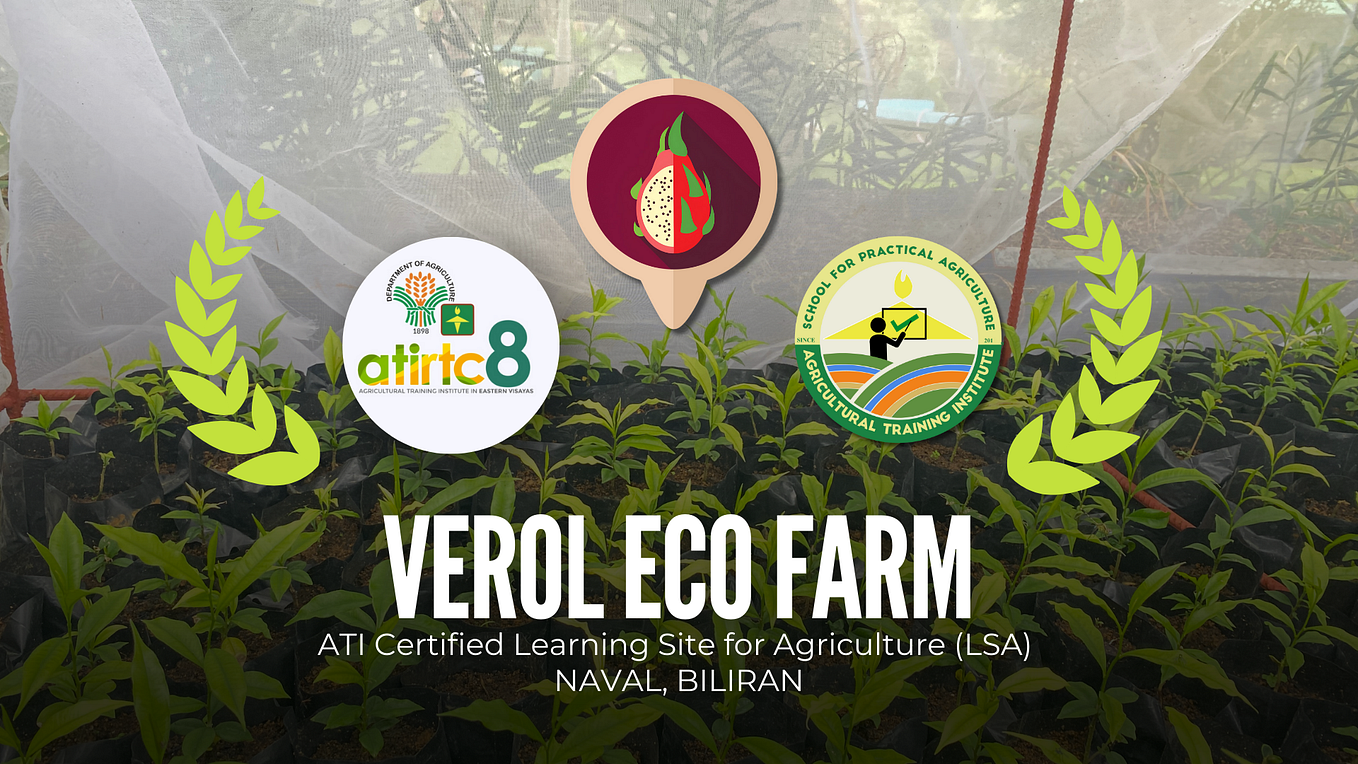 Lover in Verol. Every place you visit is filled with… | by Verol Eco Farm | Medium