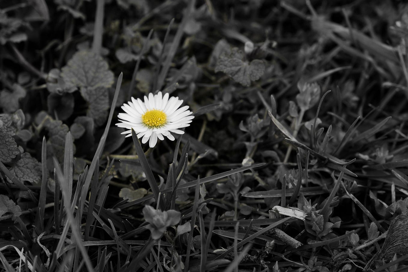 5 Tricks to Avoid Fake Support. How we can give and receive honest and… | by Corine Overvest ...