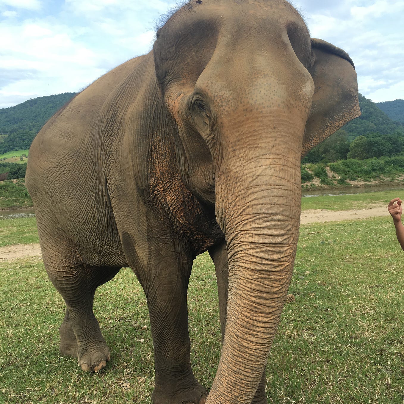 Zoos are Prisons for Animals. Have you ever went to a zoo and saw a ...