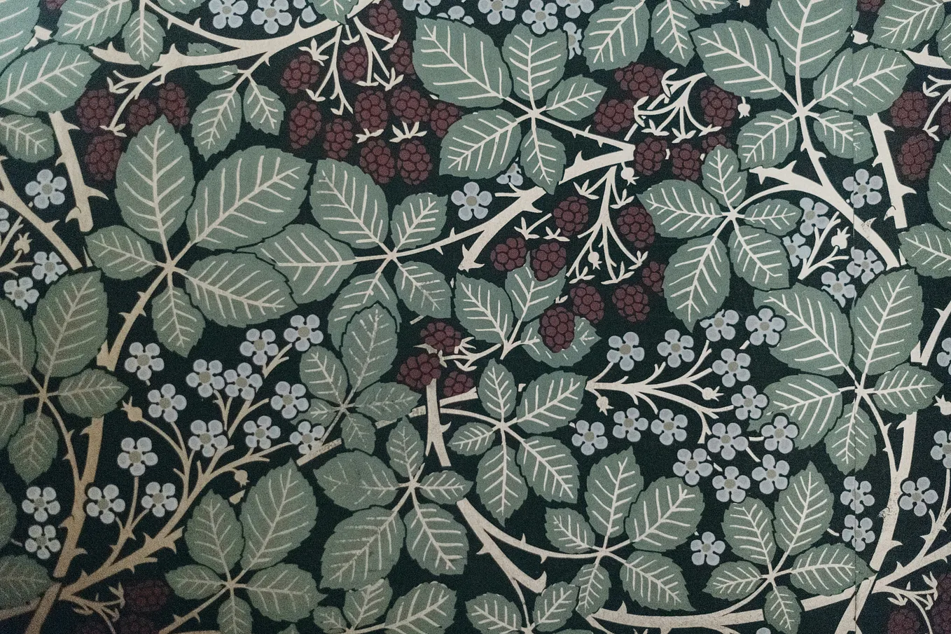 Snowflake SQL: Select. Ever wondered how you ask a database to… | by Joey Taleno | Medium