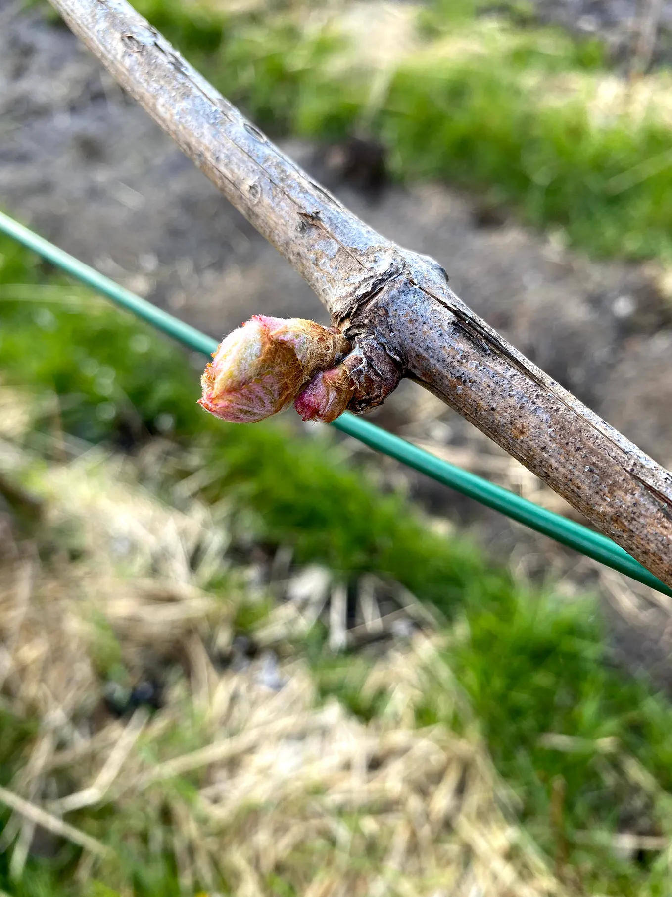 Create An Api Gateway Using Nodejs And Express By Bram Janssen Geek Culture Medium