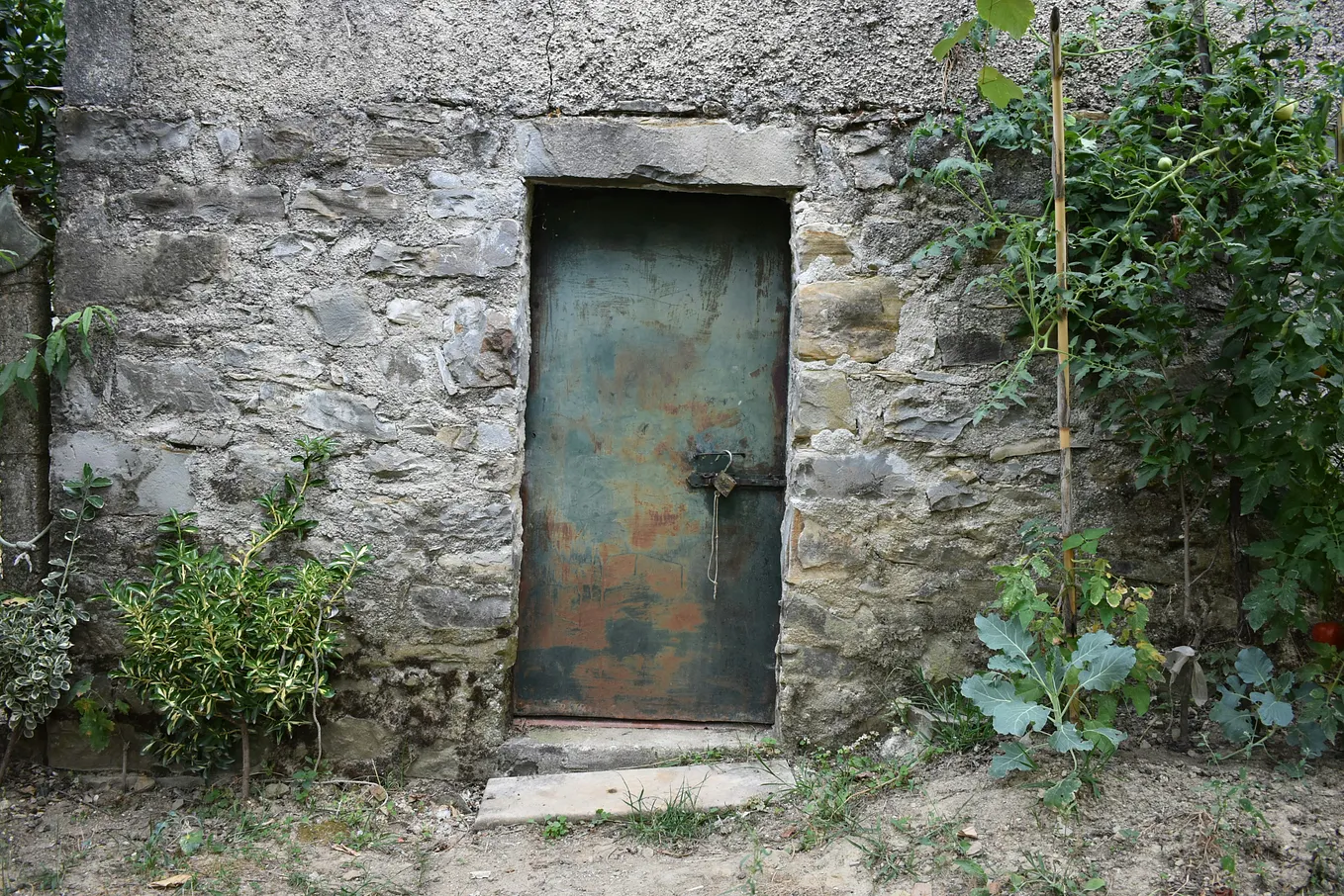 I May Need To Go Incognito After This, FOREVER… | by Noorain Khan ...