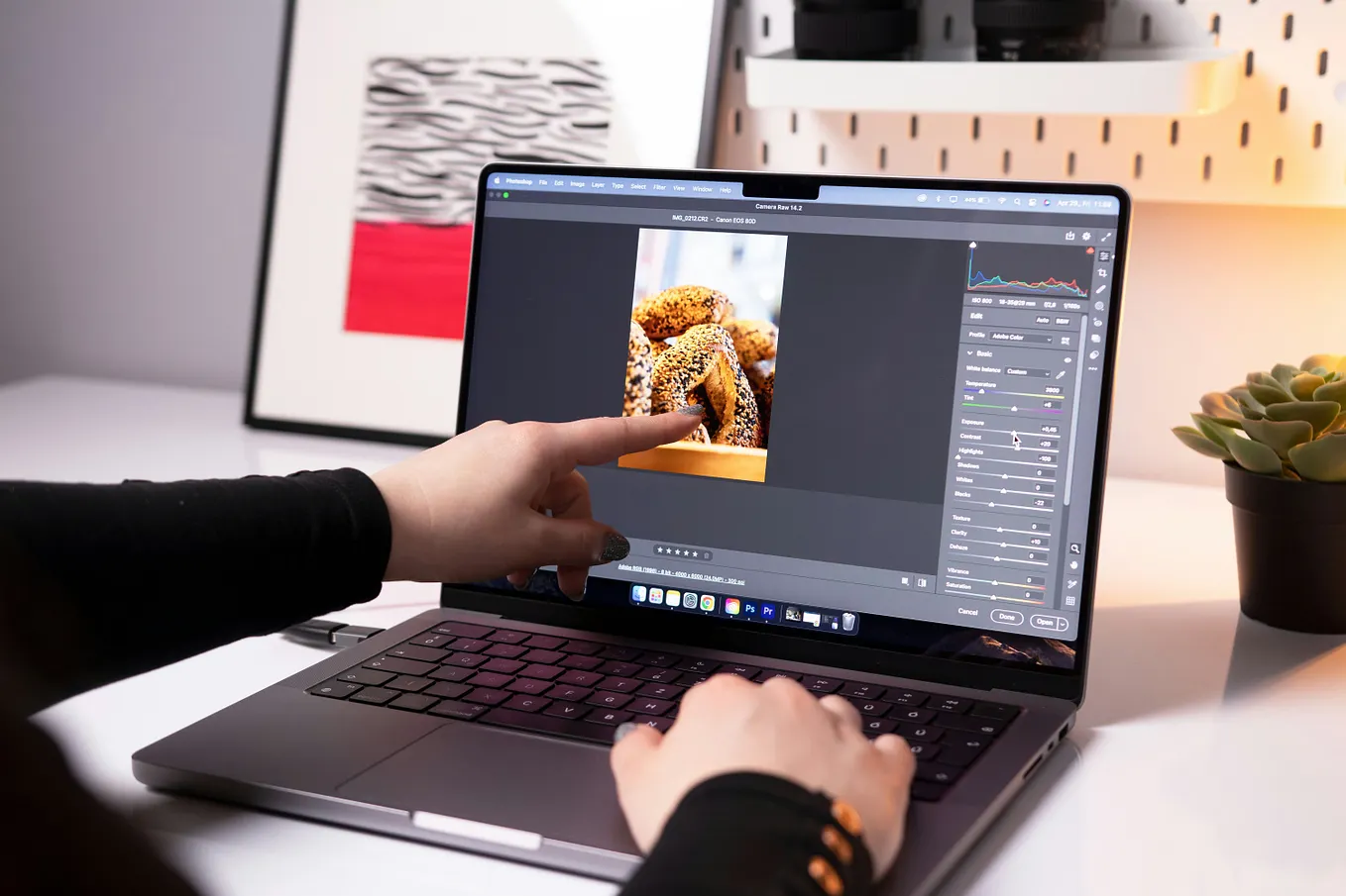What Is Microstock Photography and How It Works | by Microstock ...