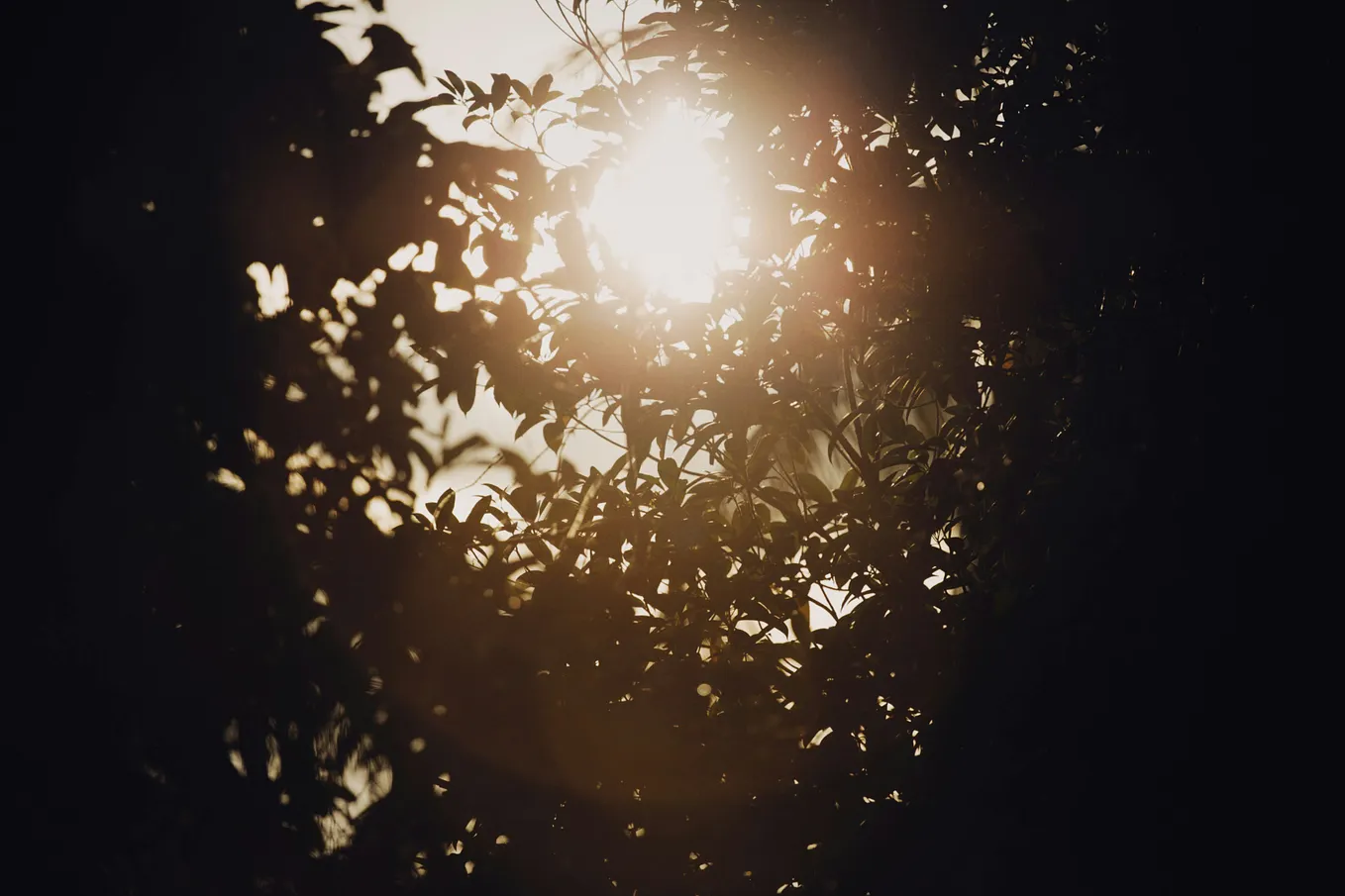 From Oracle to Insight: A Real-Life Use Case with SQL and Pandas | by ...