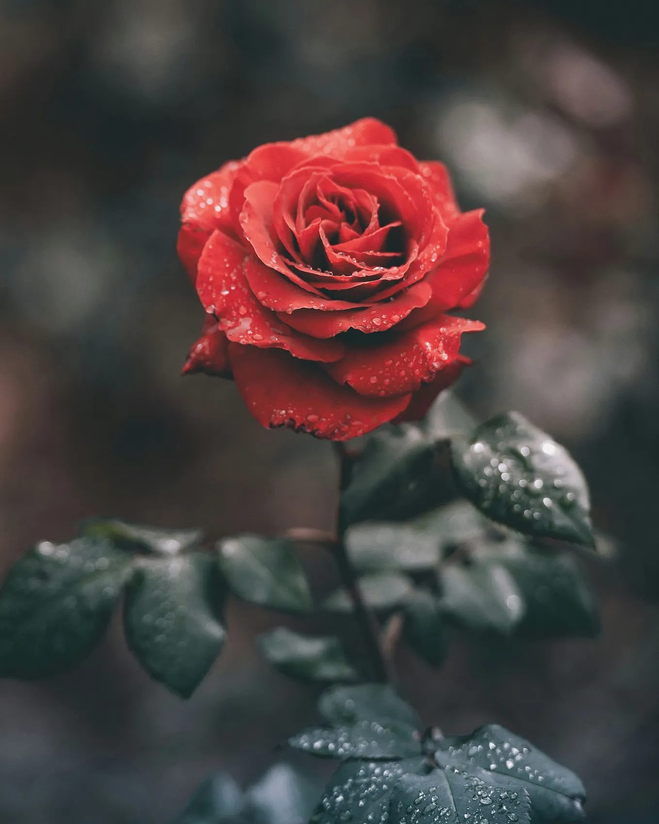 You are right! - The Eternal Passenger - Medium
