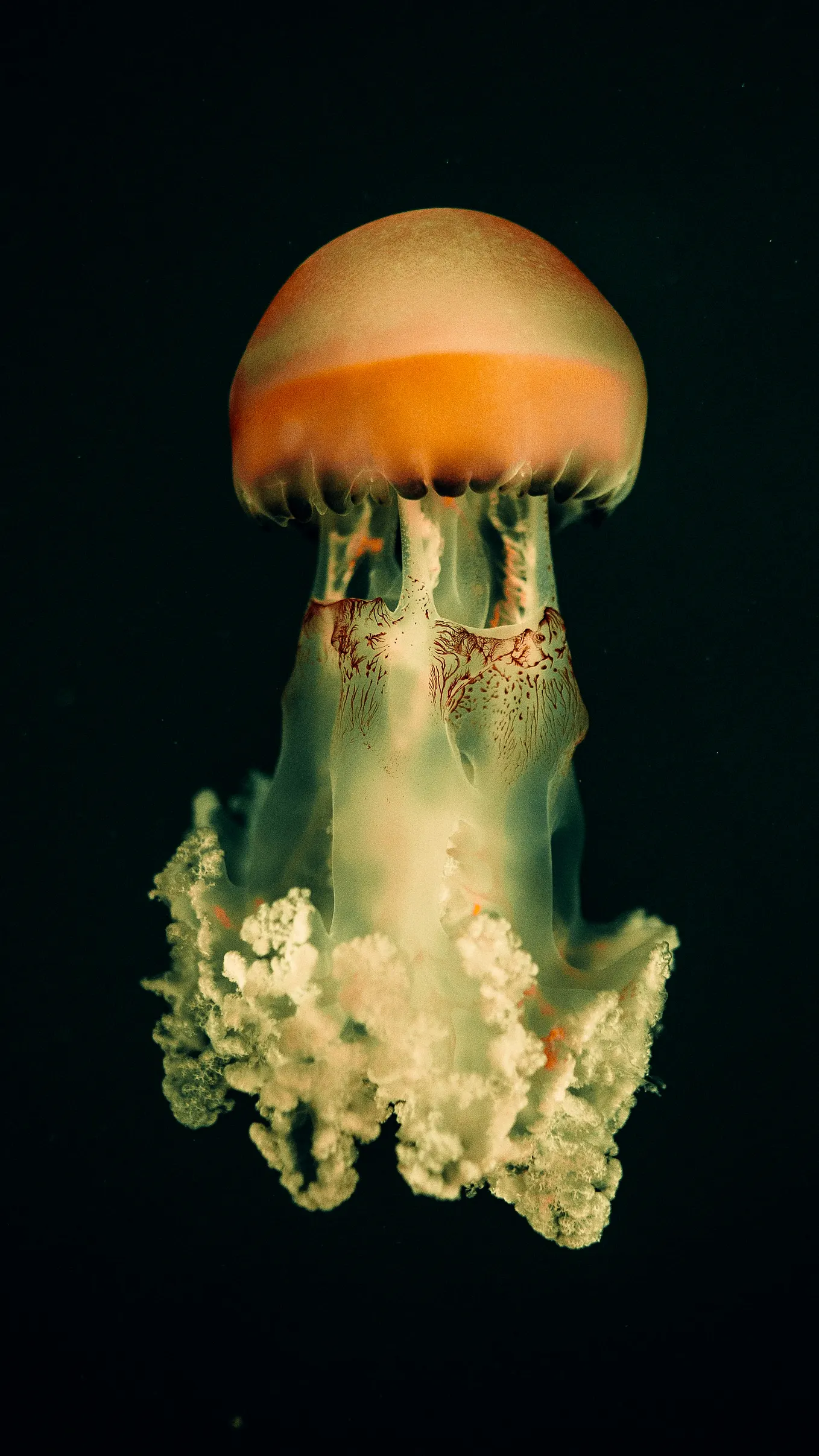 A Poem About Letting Go of Love. (“There she goes.”) | by Kieran Hunter ...
