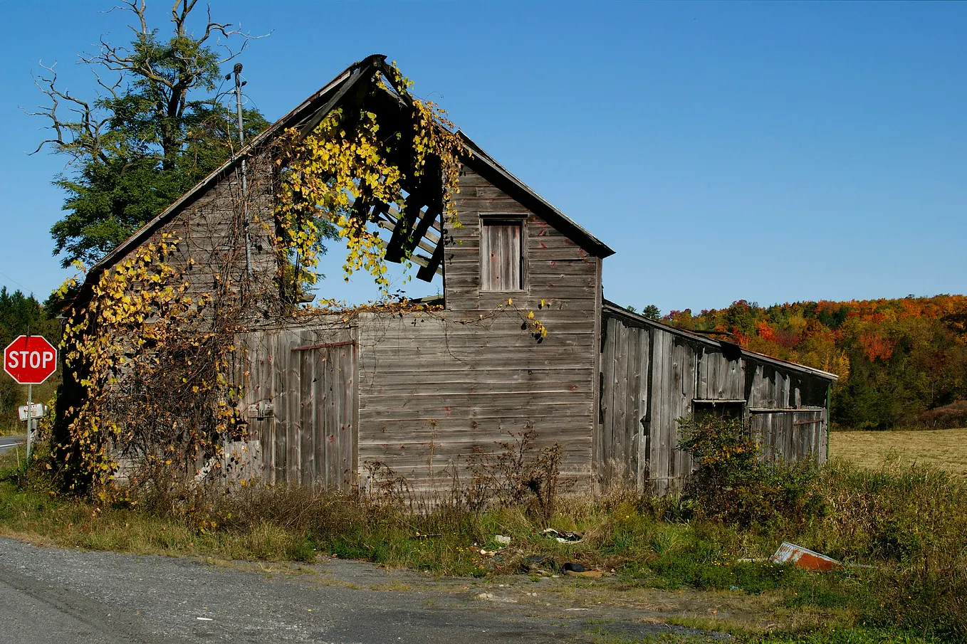 C-Suite Moms: Anisha Soni of the NHS and Imperial Business School’s Executive MBA On How To ...