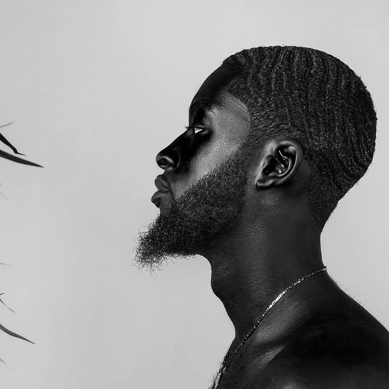 The Manosphere Is Having a Midlife Crisis | by Luc Olinga | The ...