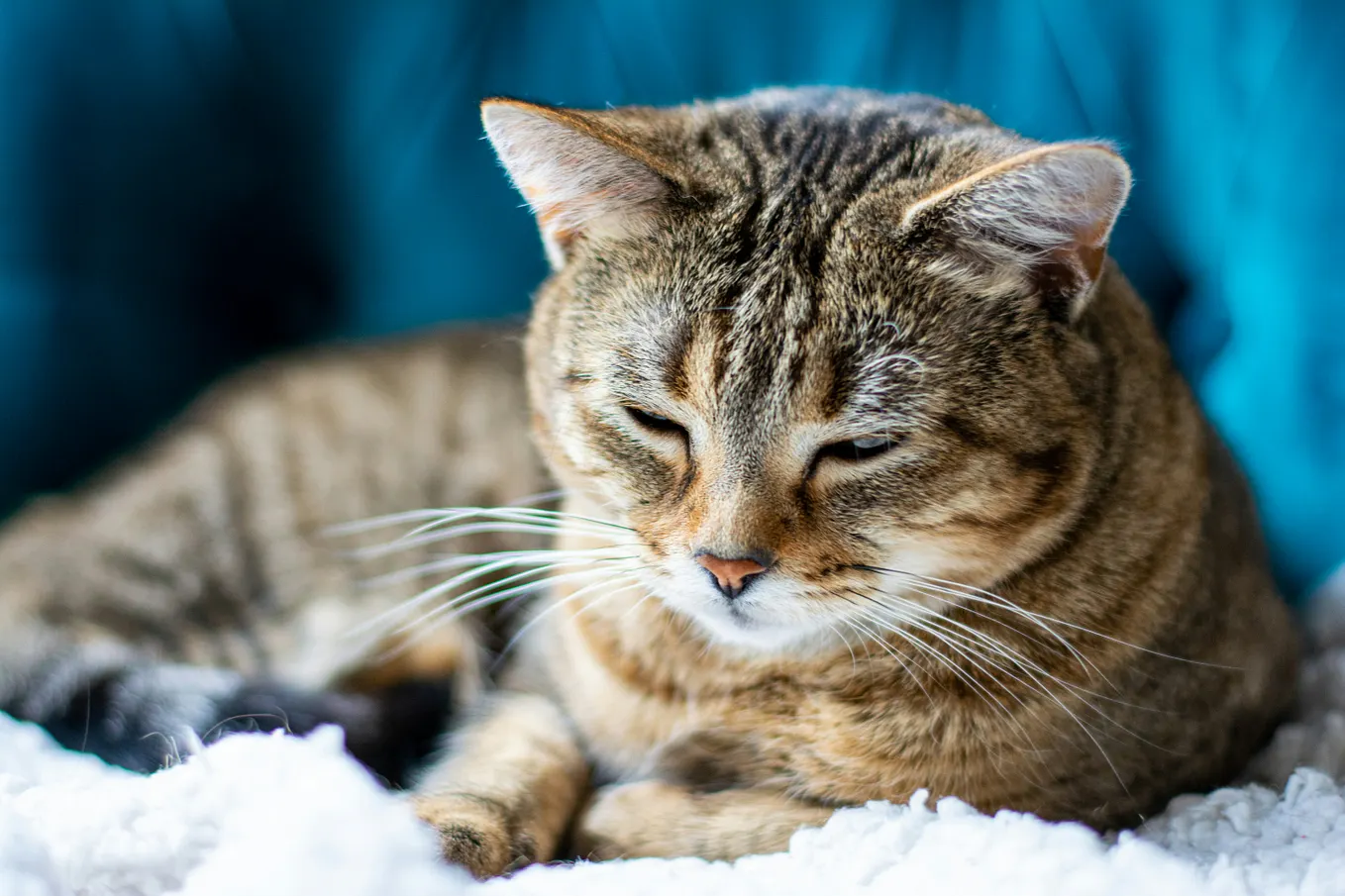 How To Fix Your Sleep Schedule — Reset Your Sleep Pattern | by Vinuki ...